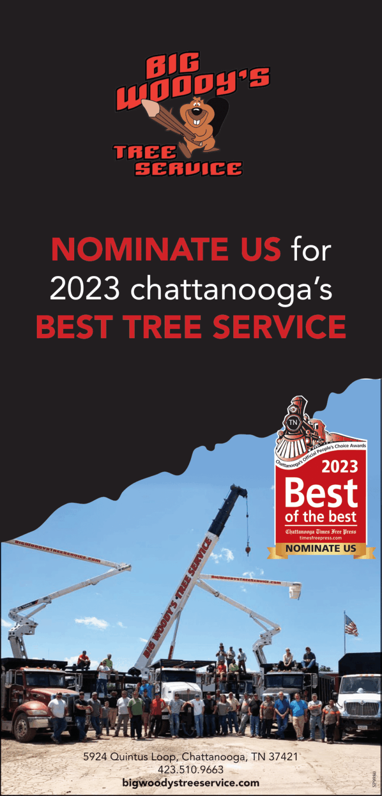Big Woody's Tree Service - Tree and Stump Removal, Excavation and Land ...