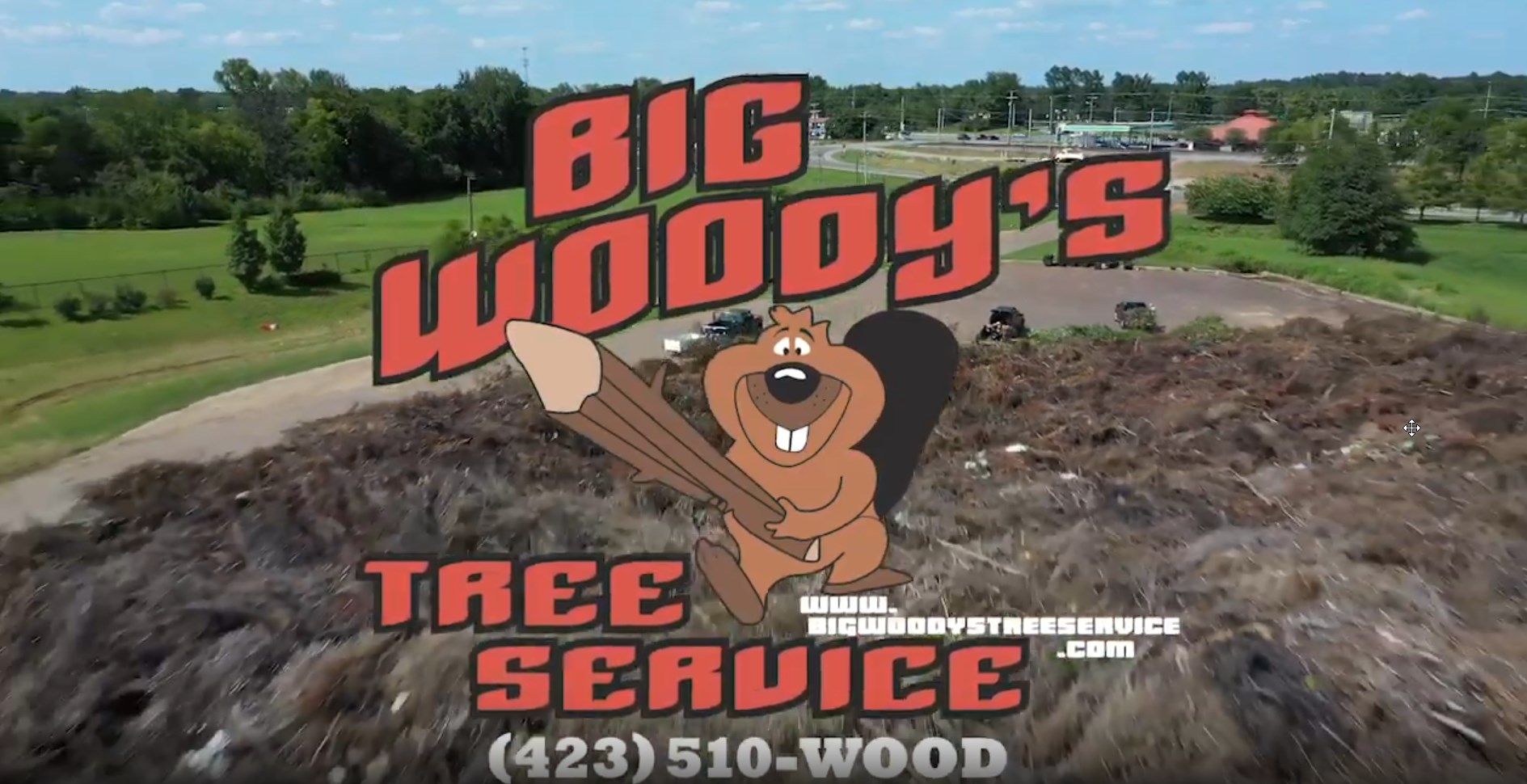Big Woody's Tree Service - Tree and Stump Removal, Excavation and Land ...